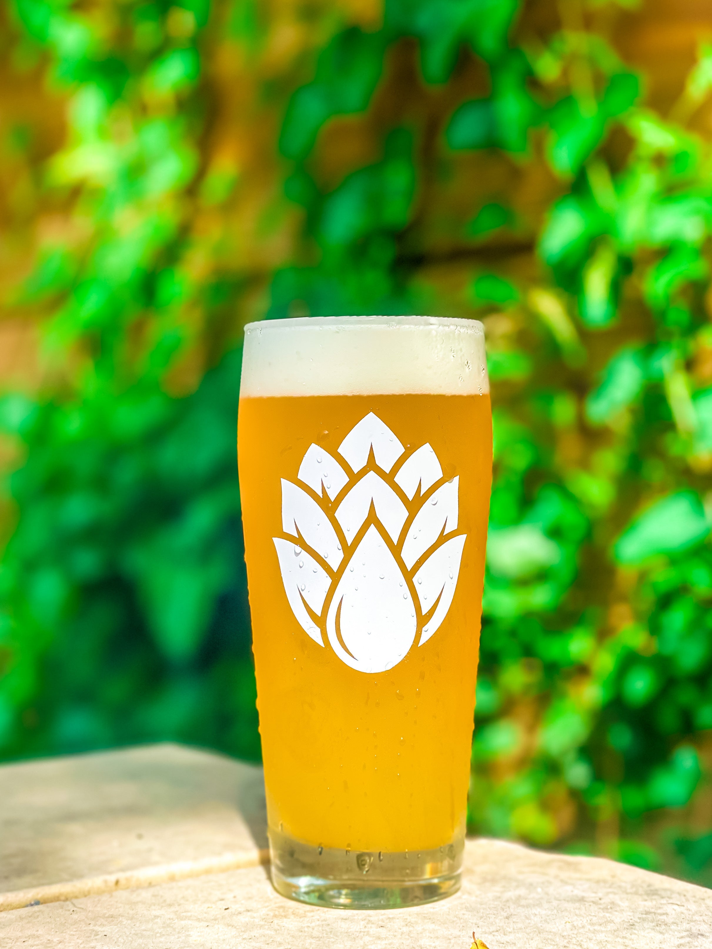 16oz Willi Beacher Pub Glass | Parleaux Beer Lab